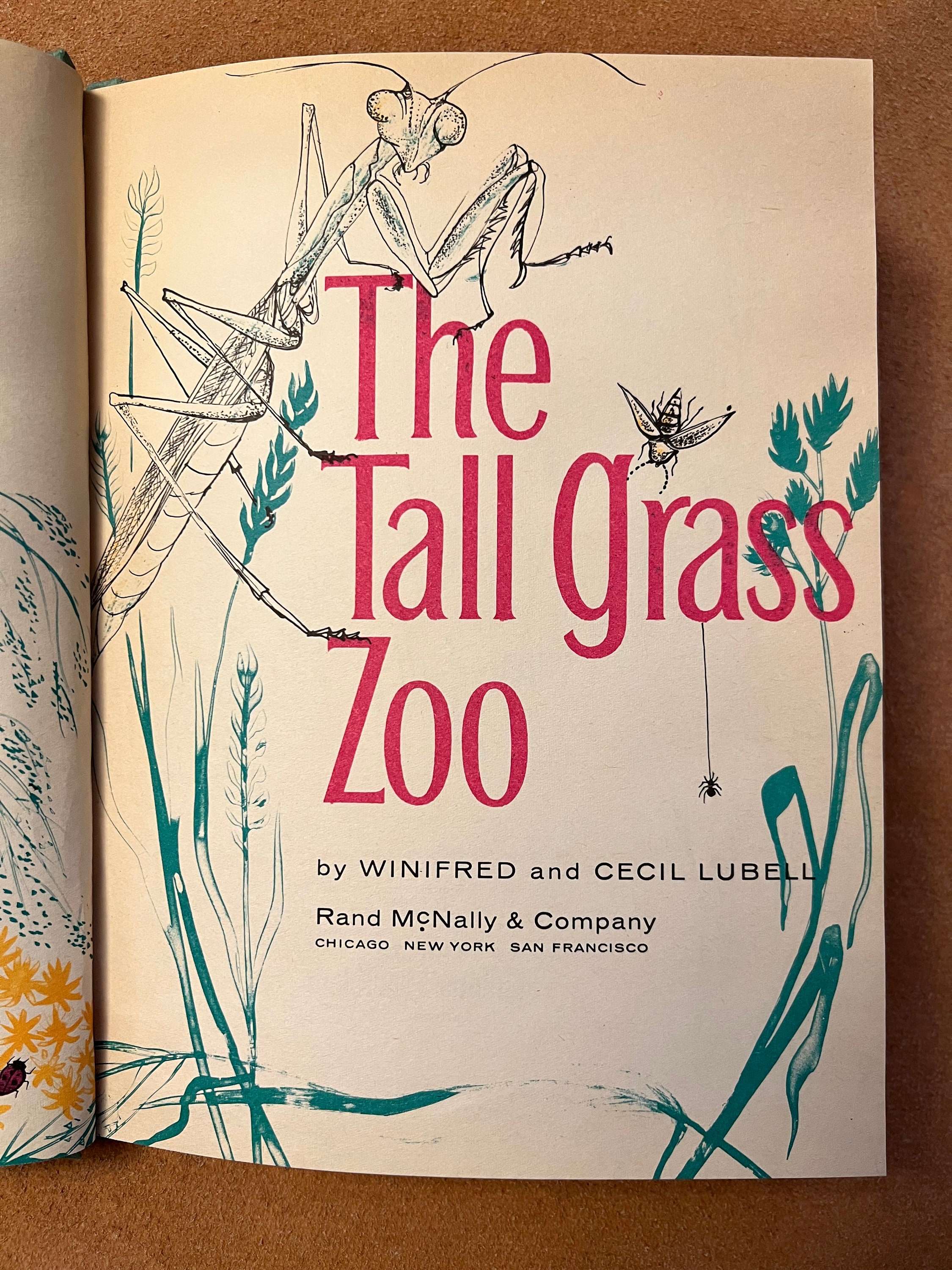 The Tall Grass Zoo by Winifred Cecil Lubell 1961 Vintage Children's ...