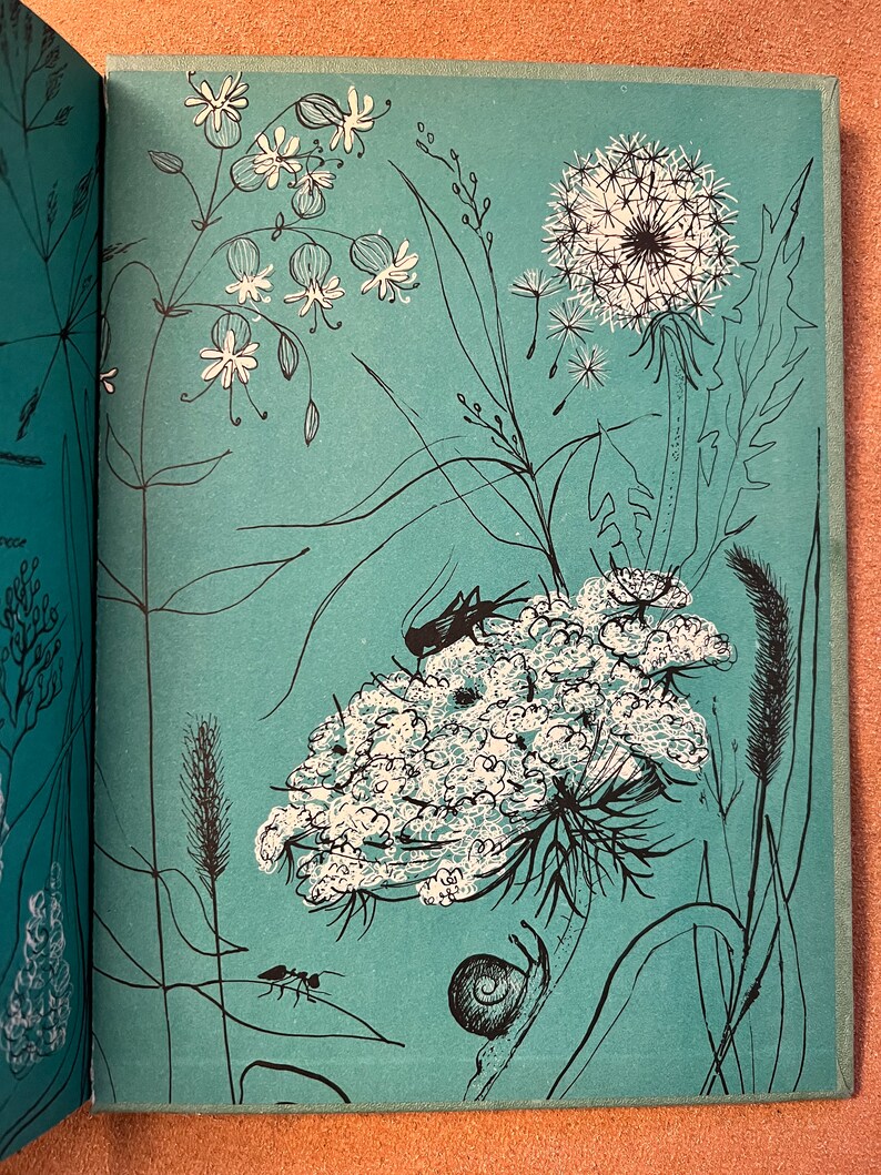 The Tall Grass Zoo by Winifred Cecil Lubell 1961 Vintage Children's ...
