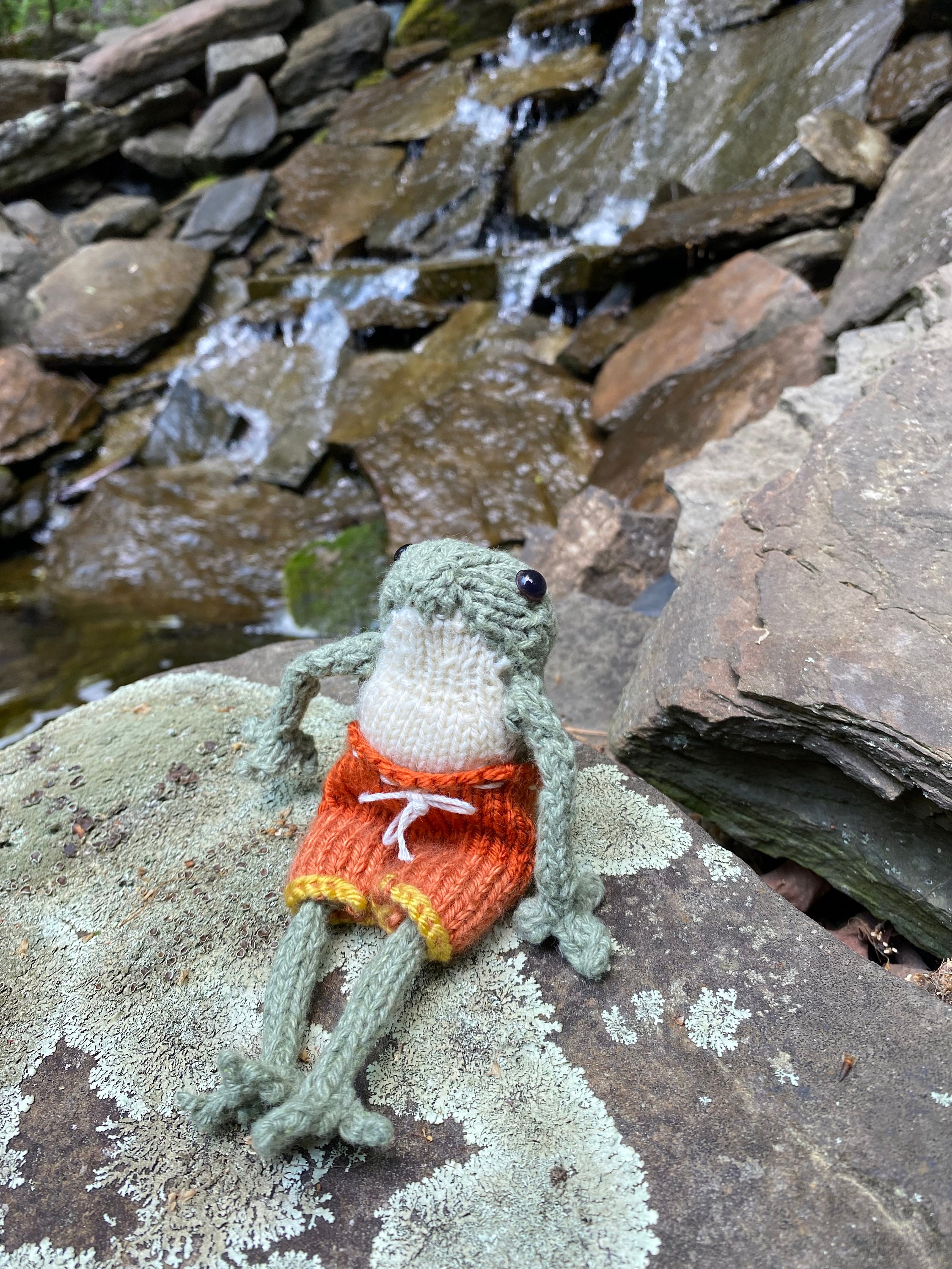 Swim Suit for Knit Frog - Etsy