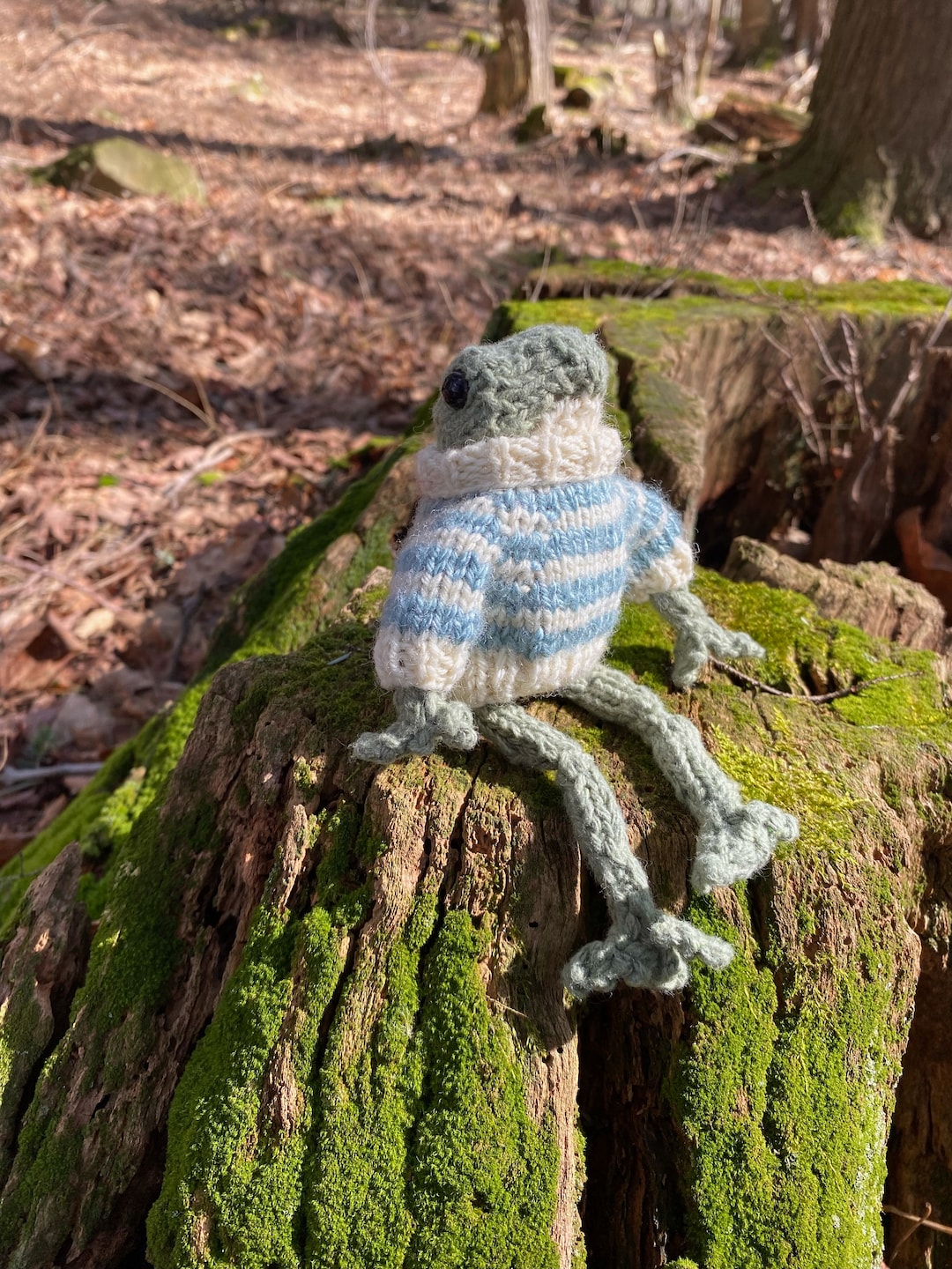 Knit Frog With Sweater - Etsy