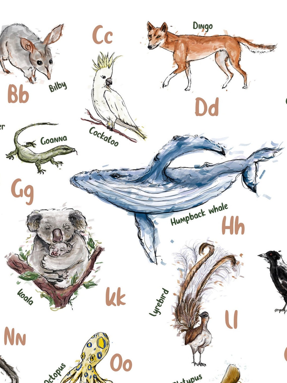 A - Z of Aussie Animals | Australian Animal Alphabet Children's Nursery ...