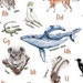 A - Z of Aussie Animals | Australian Animal Alphabet Children's Nursery ...
