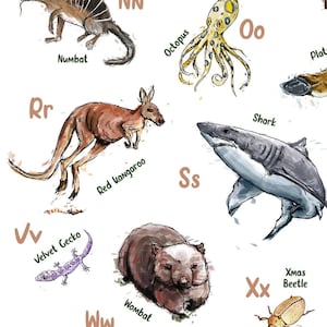 A - Z of Aussie Animals | Australian Animal Alphabet Children's Nursery ...