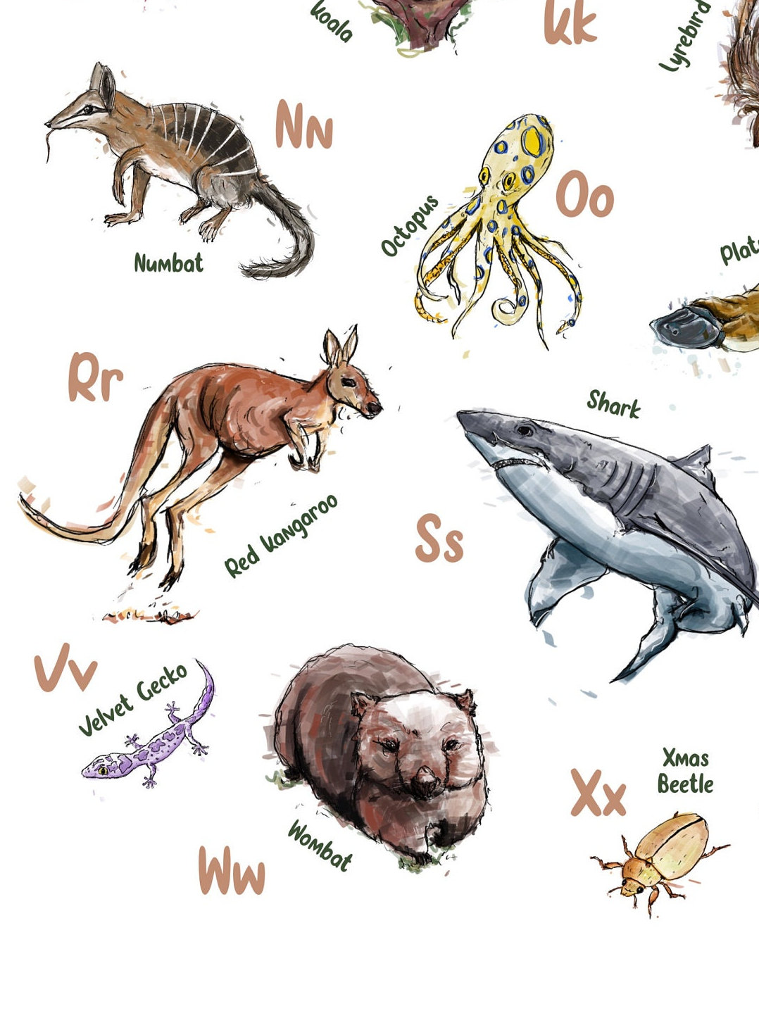 A - Z of Aussie Animals | Australian Animal Alphabet Children's Nursery ...