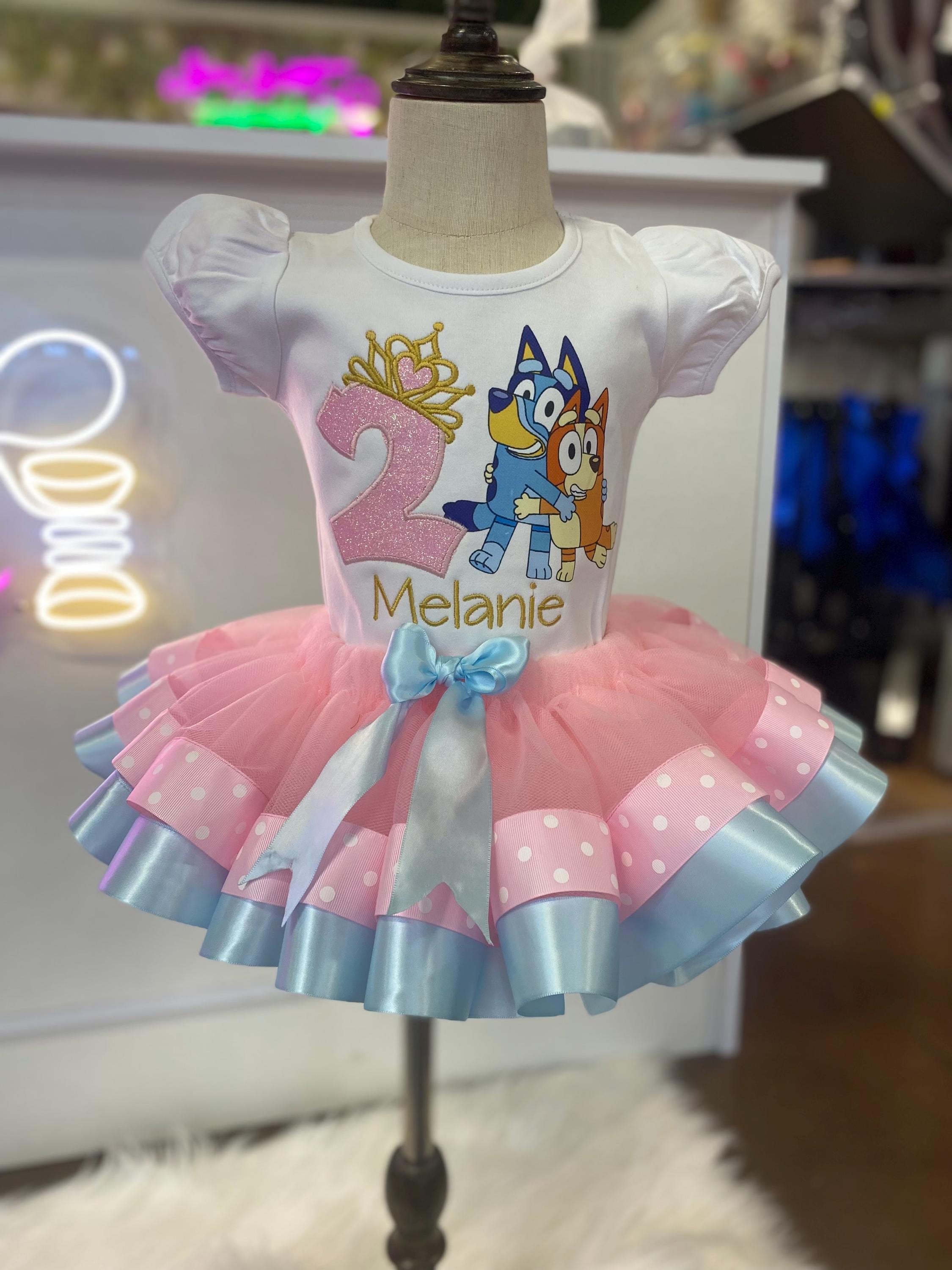 Custom Bluey Birthday Tutu Set - Etsy