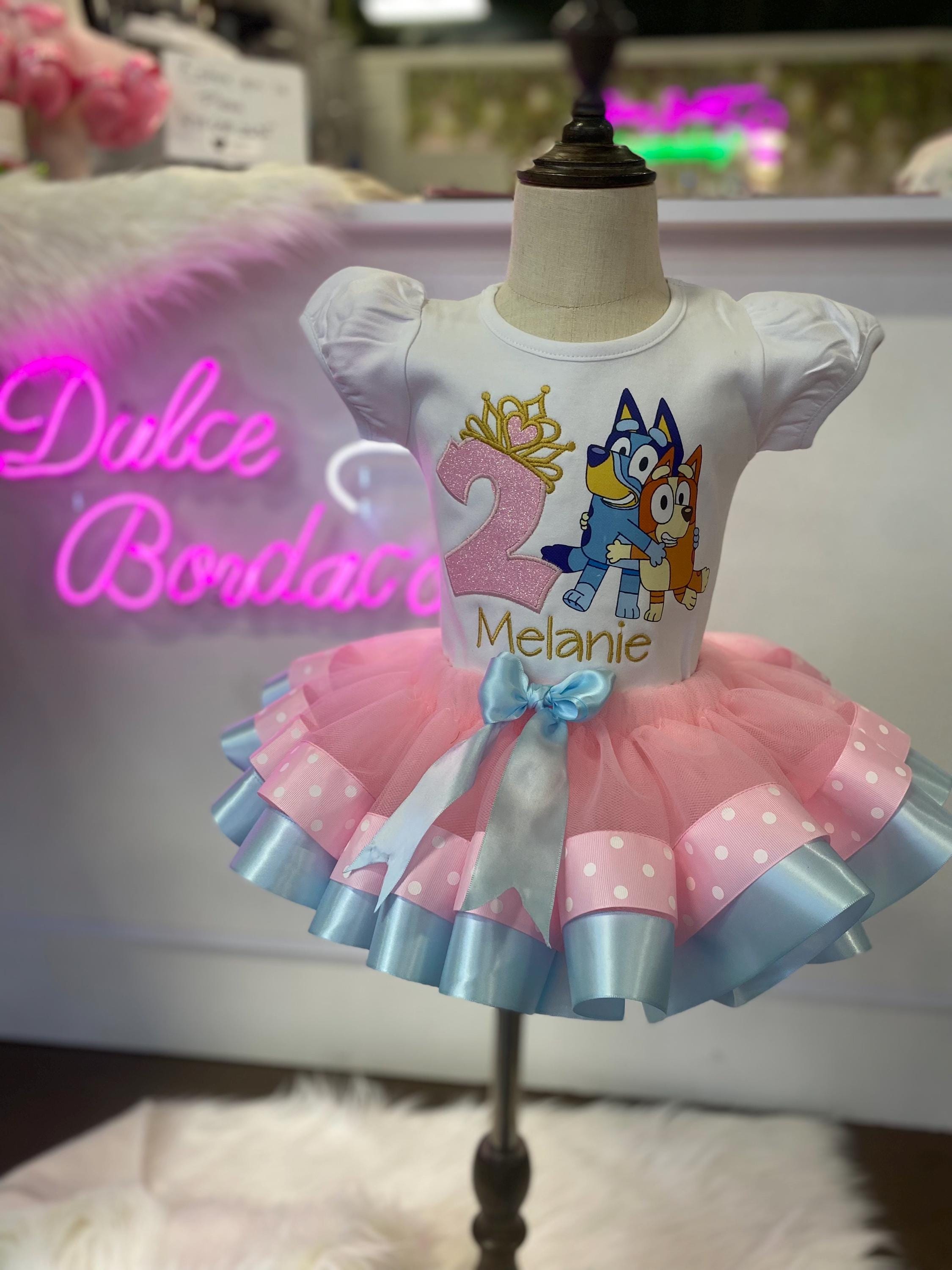 Custom Bluey Birthday Tutu Set - Etsy