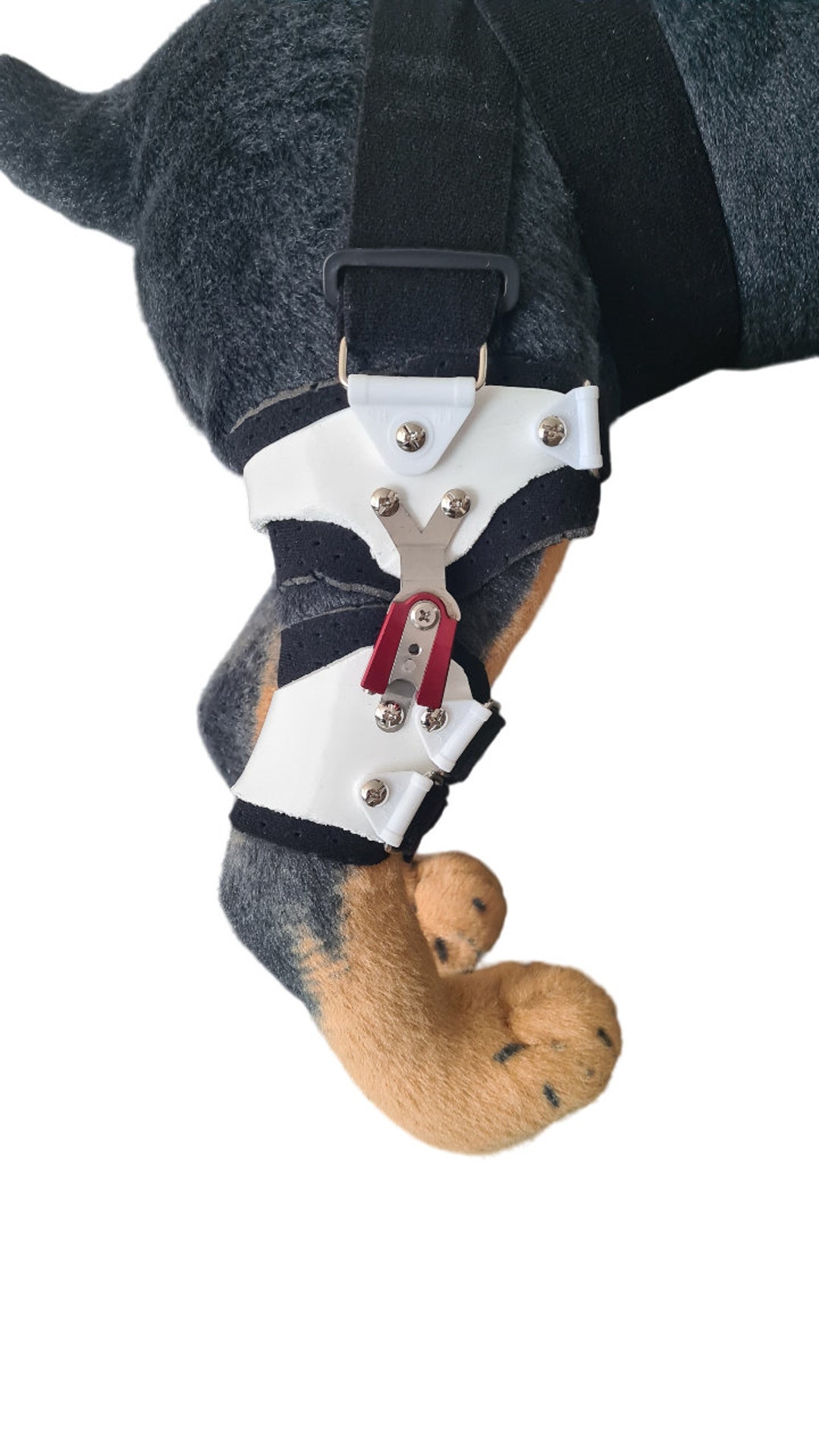 Dog Brace, Dog Support, Dog Splint, Dog Accessory, Dog, Dog Knee Brace ...