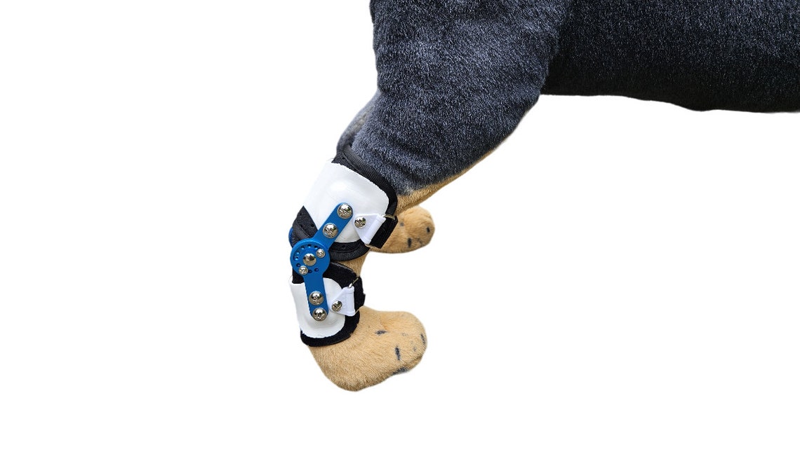 Dog Ankle Brace, Dog Brace, Dog Protector, Dog Ankle Protector, Dog ...