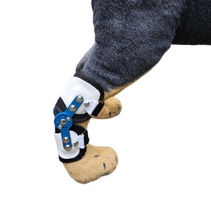 Dog Ankle Brace, Dog Brace, Dog Protector, Dog Ankle Protector, Dog ...