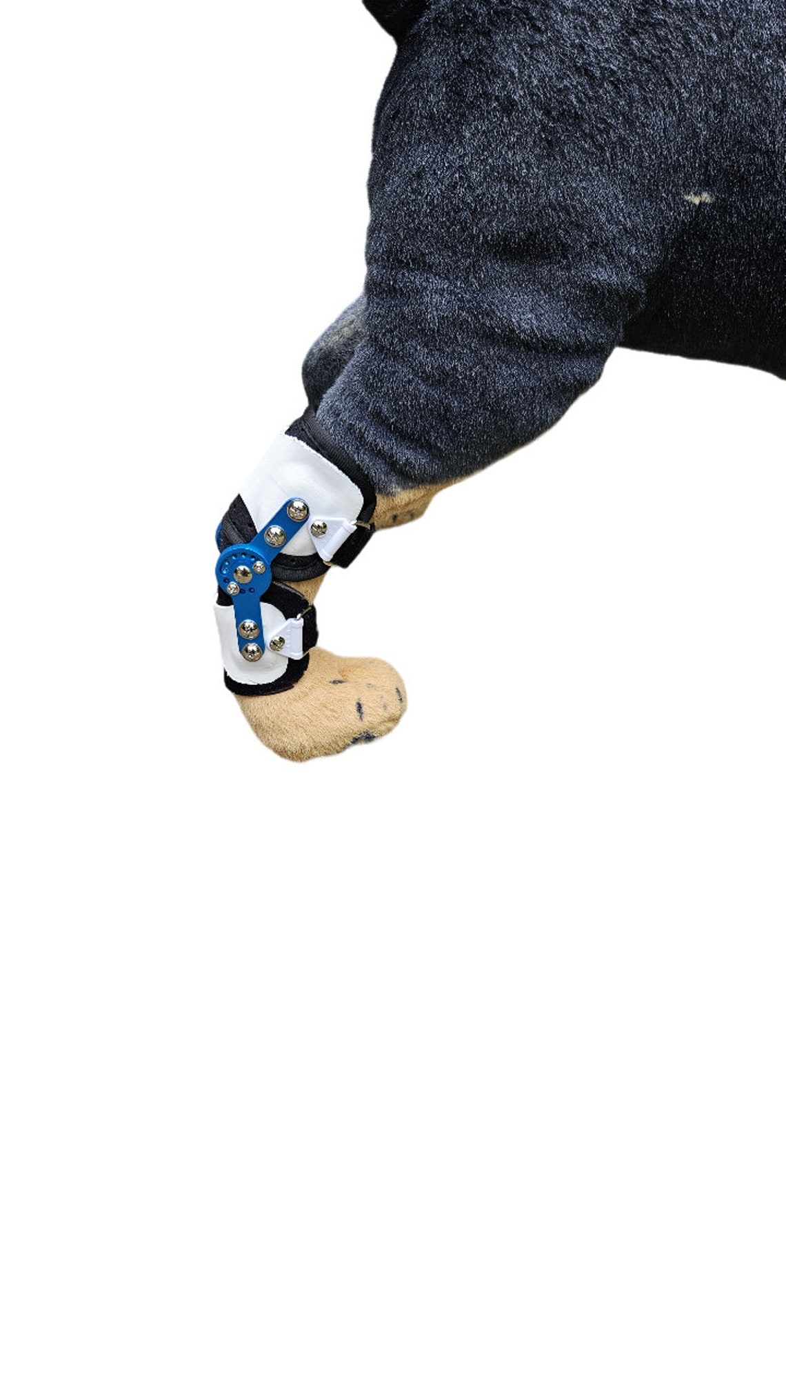 Dog Ankle Brace, Dog Brace, Dog Protector, Dog Ankle Protector, Dog ...