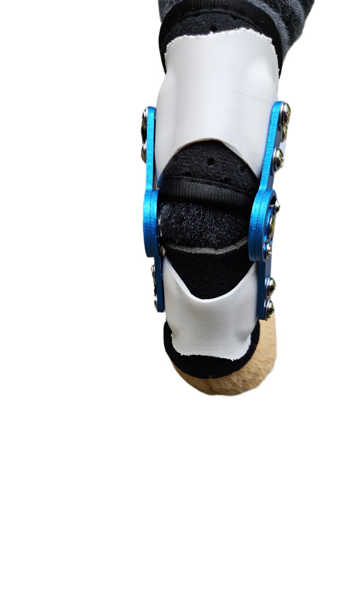 Dog Ankle Brace, Dog Brace, Dog Protector, Dog Ankle Protector, Dog ...