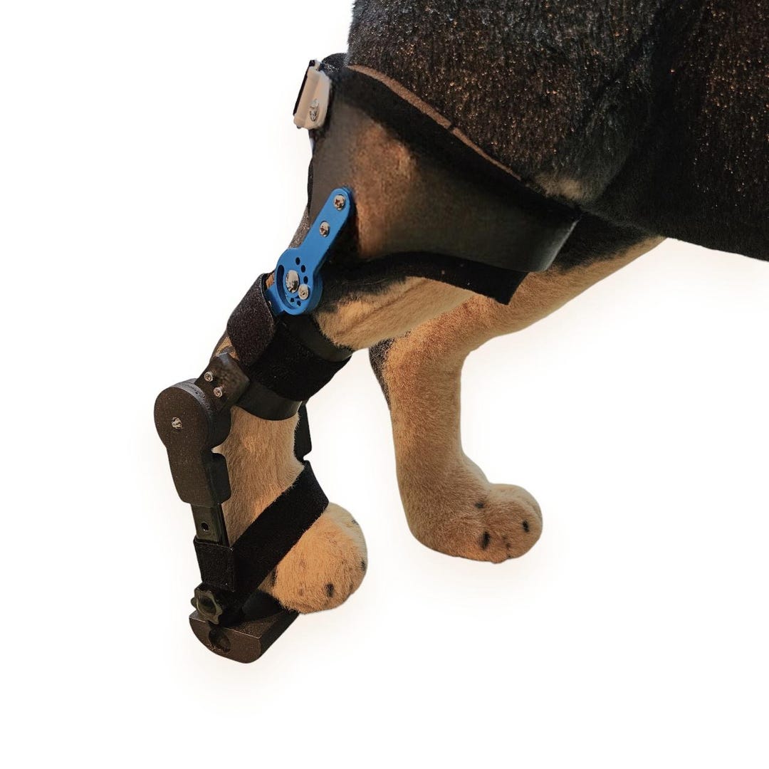 Dog Pad Protector, Dog Crutch, Dog Support, Dog Brace, Dog Bandage, Dog ...