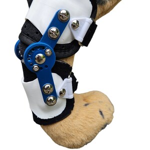 Dog Ankle Brace, Dog Brace, Dog Protector, Dog Ankle Protector, Dog ...