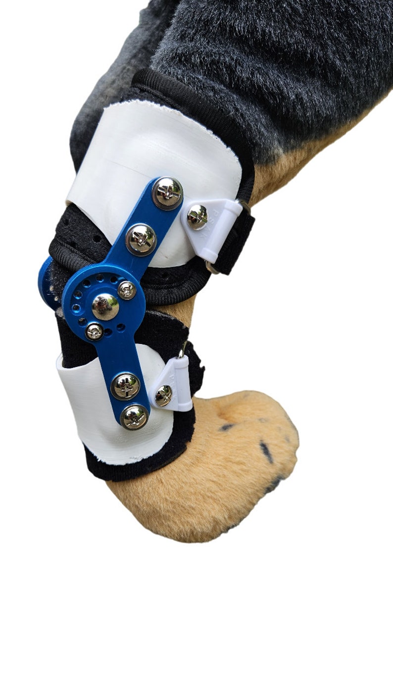 Dog Ankle Brace, Dog Brace, Dog Protector, Dog Ankle Protector, Dog ...