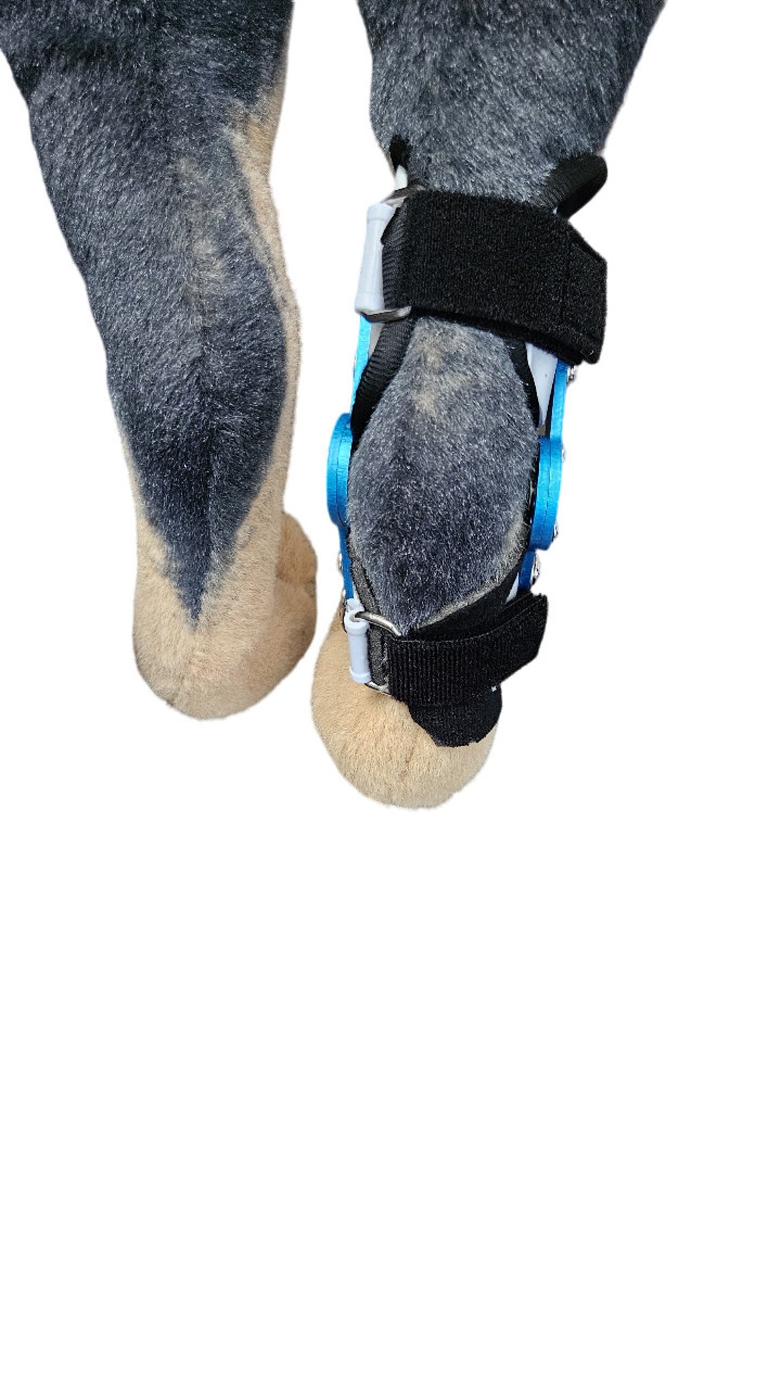 Dog Ankle Brace, Dog Brace, Dog Protector, Dog Ankle Protector, Dog ...