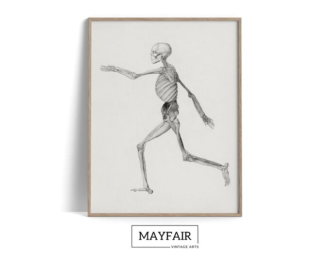Halloween Printable Wall Art, Halloween Decor, Funny Skeleton Print ...