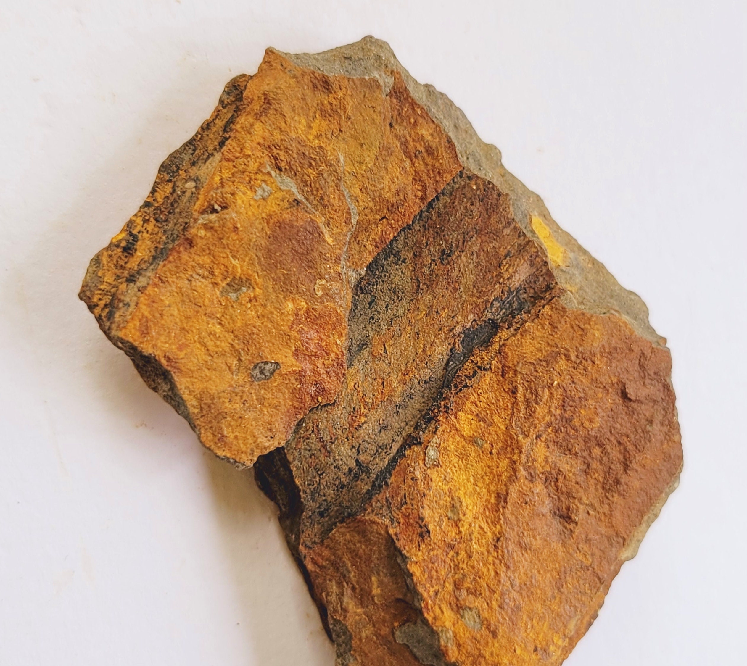 Lamb Bison Mammoth Ape Ancient Native American Paleo Portable Rock Art ...