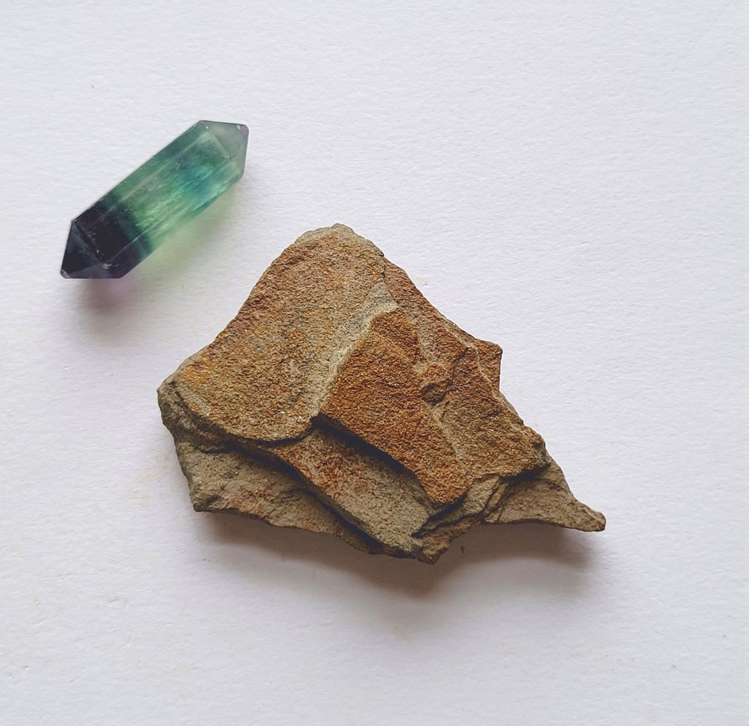 2.5 Layered Tool Ancient Native American Paleo Portable Rock Art ...