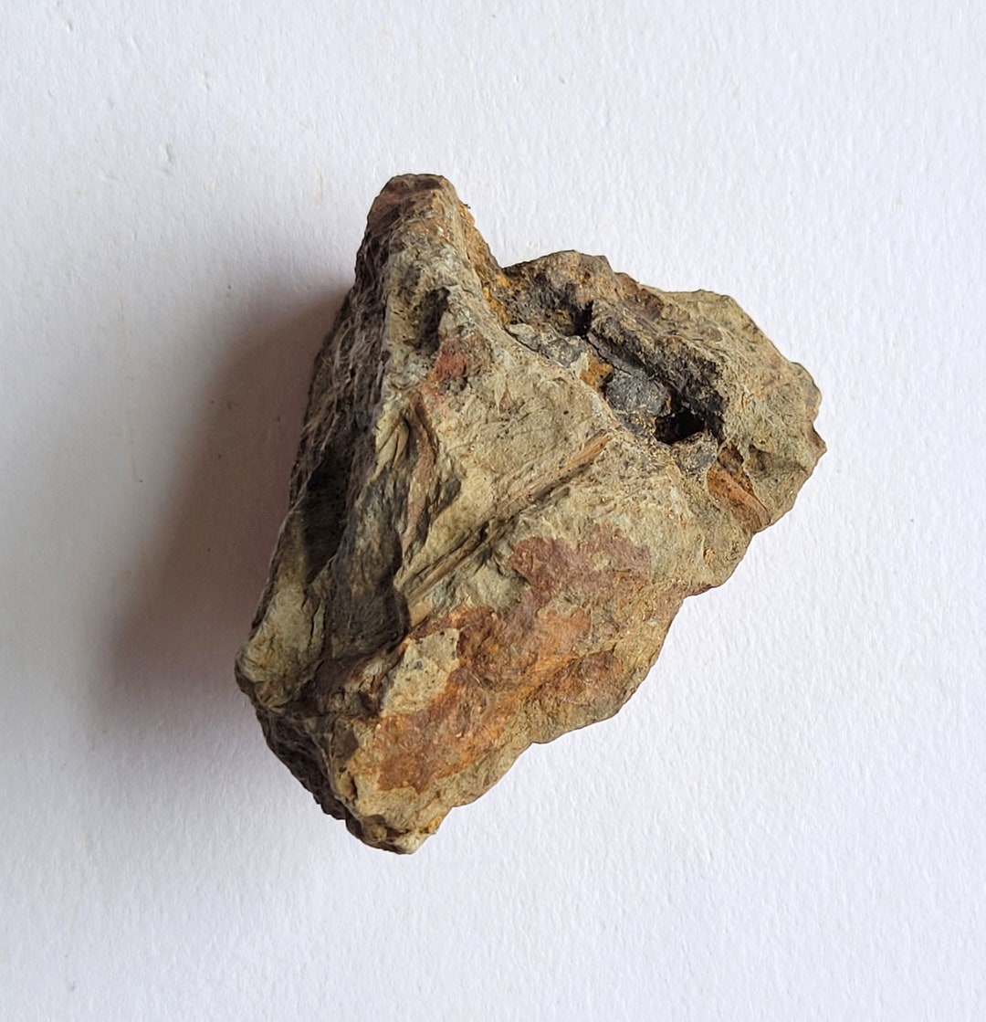 Ram Ape Lion Bear Ancient Native American Paleo Portable Rock - Etsy