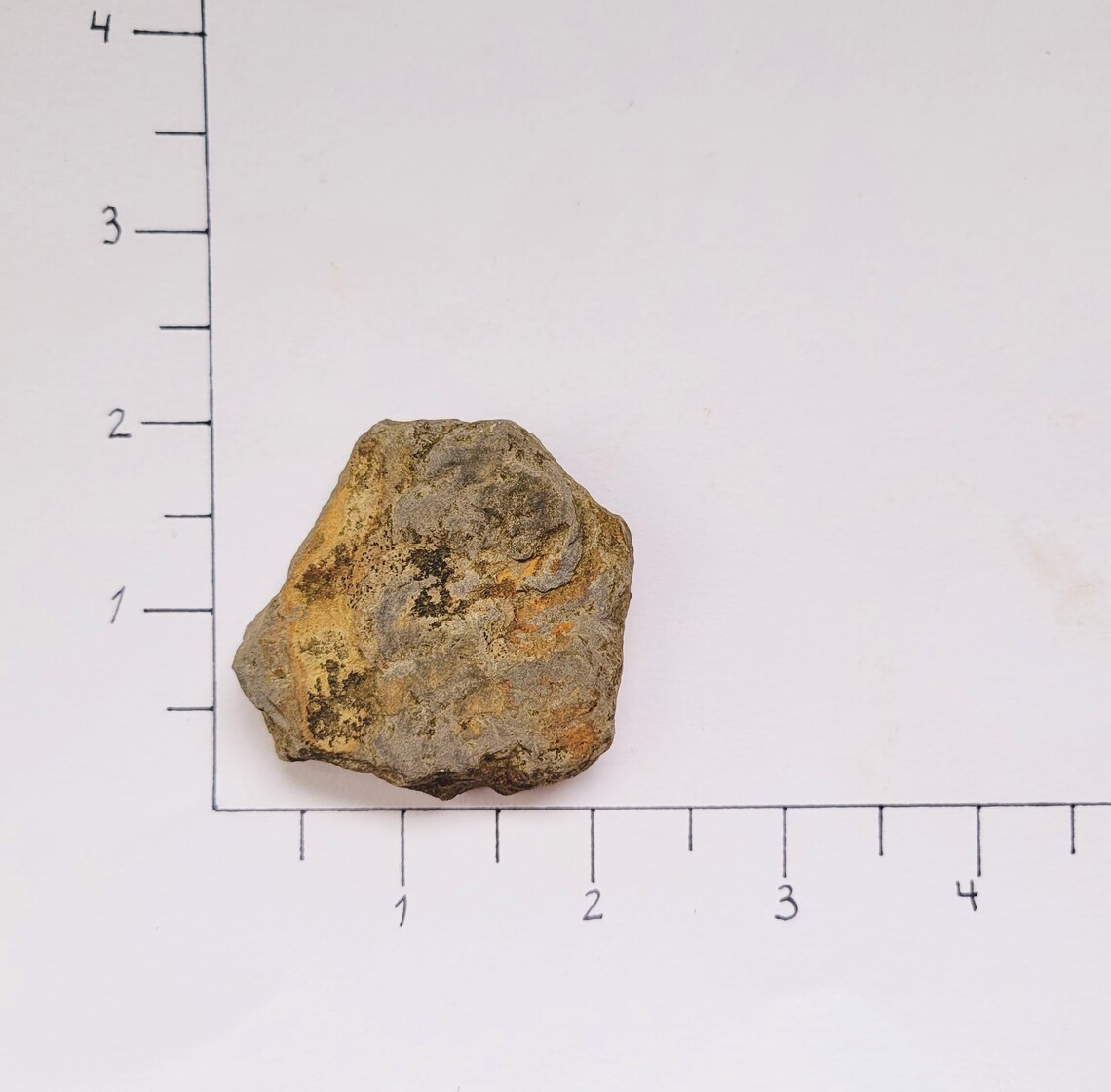 Cow Ram Lion Ape Ancient Native American Paleo Portable Rock Art ...