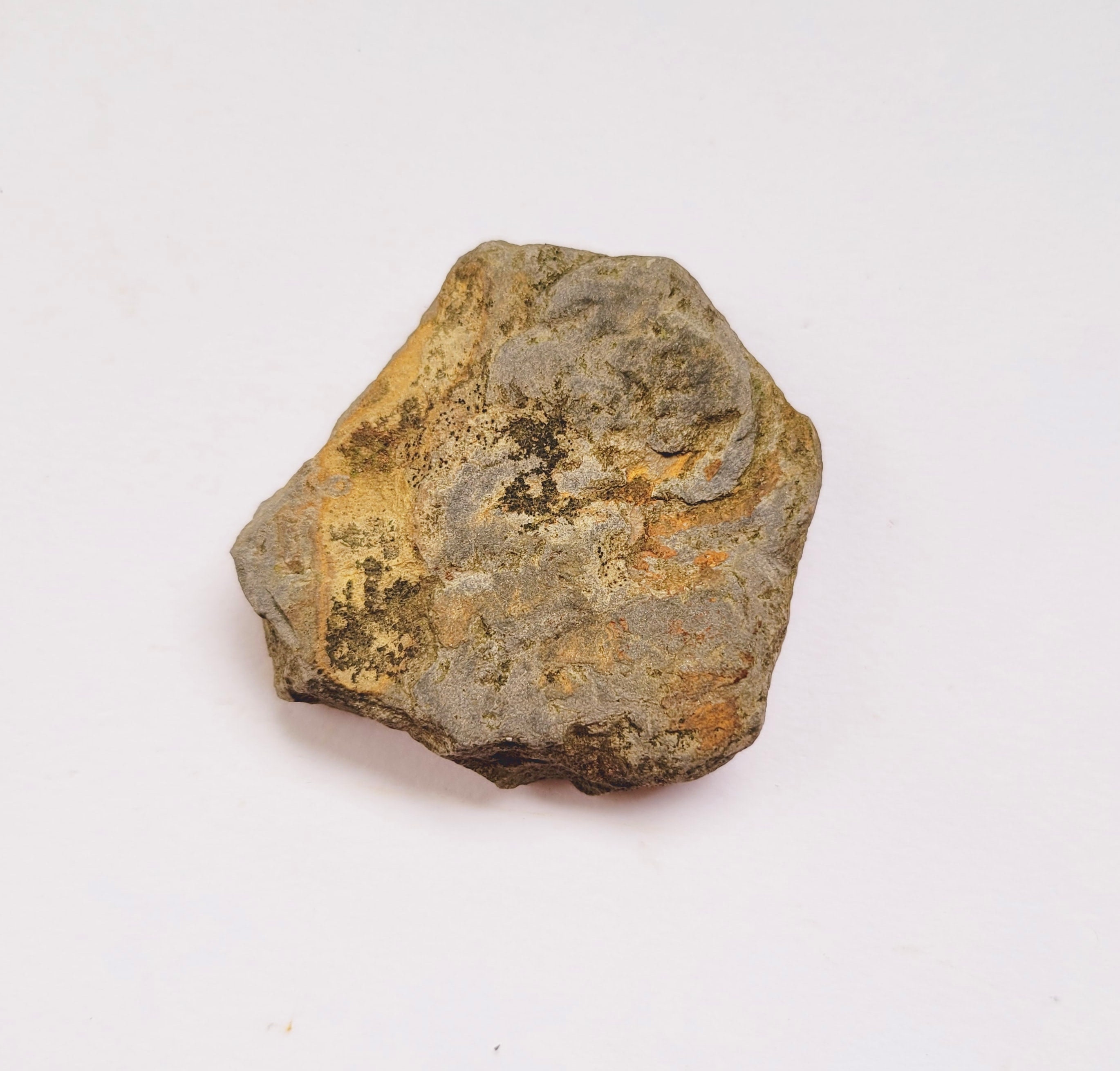 Cow Ram Lion Ape Ancient Native American Paleo Portable Rock Art ...