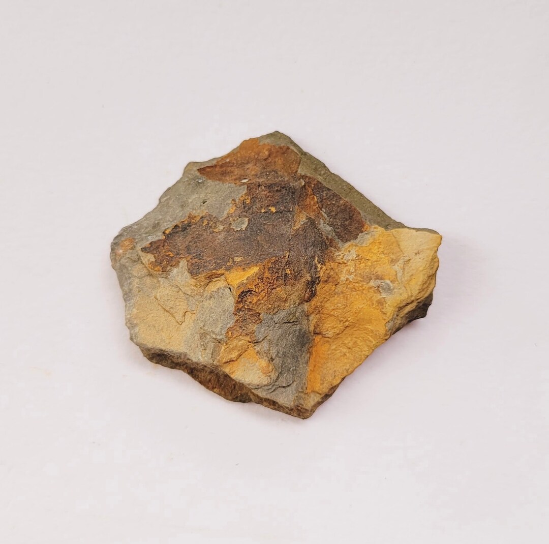 Eagle Ape Ram Bear Ancient Native American Paleo Portable Rock Art ...