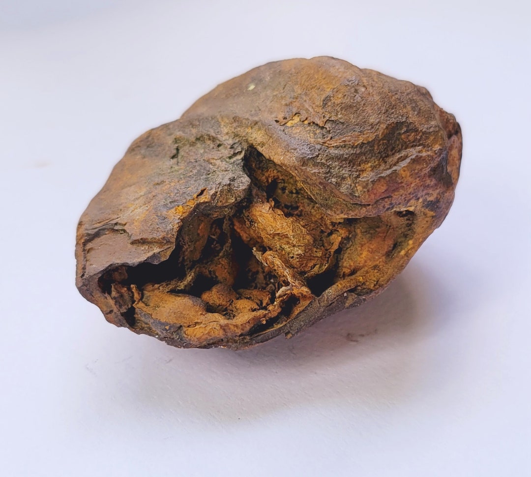 Mammoth Turtle Frog Lion Ancient Native American Portable Rock Art ...