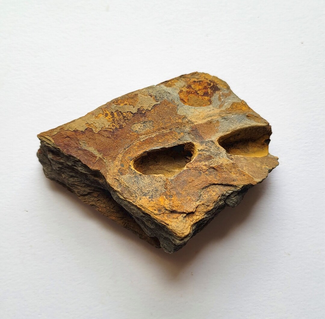 Birds Eyes Ancient Native American Paleo Portable Rock Art Artifact ...