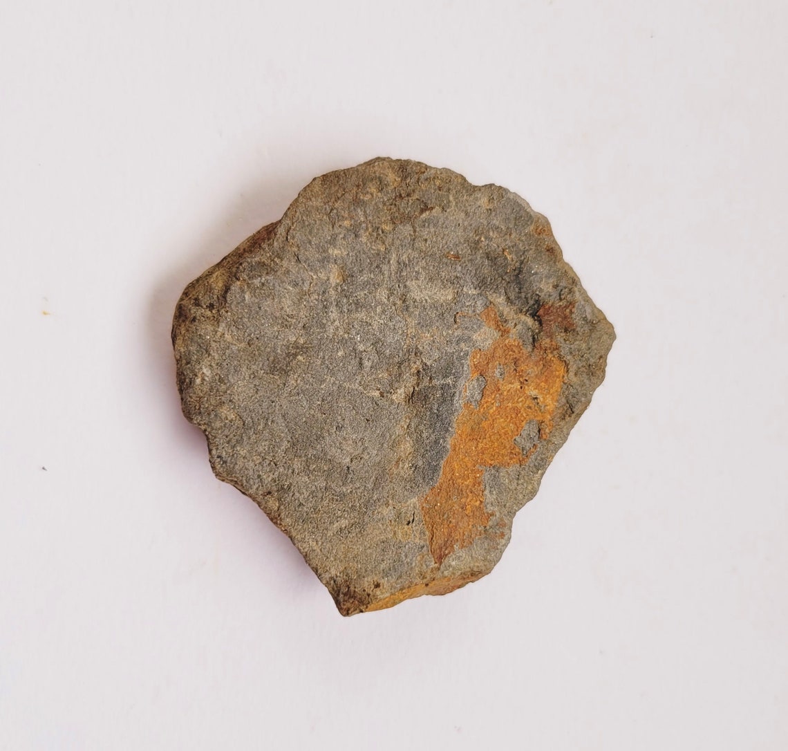 Cow Ram Lion Ape Ancient Native American Paleo Portable Rock Art ...