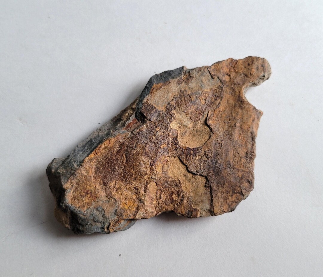 Mammoth Horse Frog Ancient Native American Paleo Portable Rock Art ...
