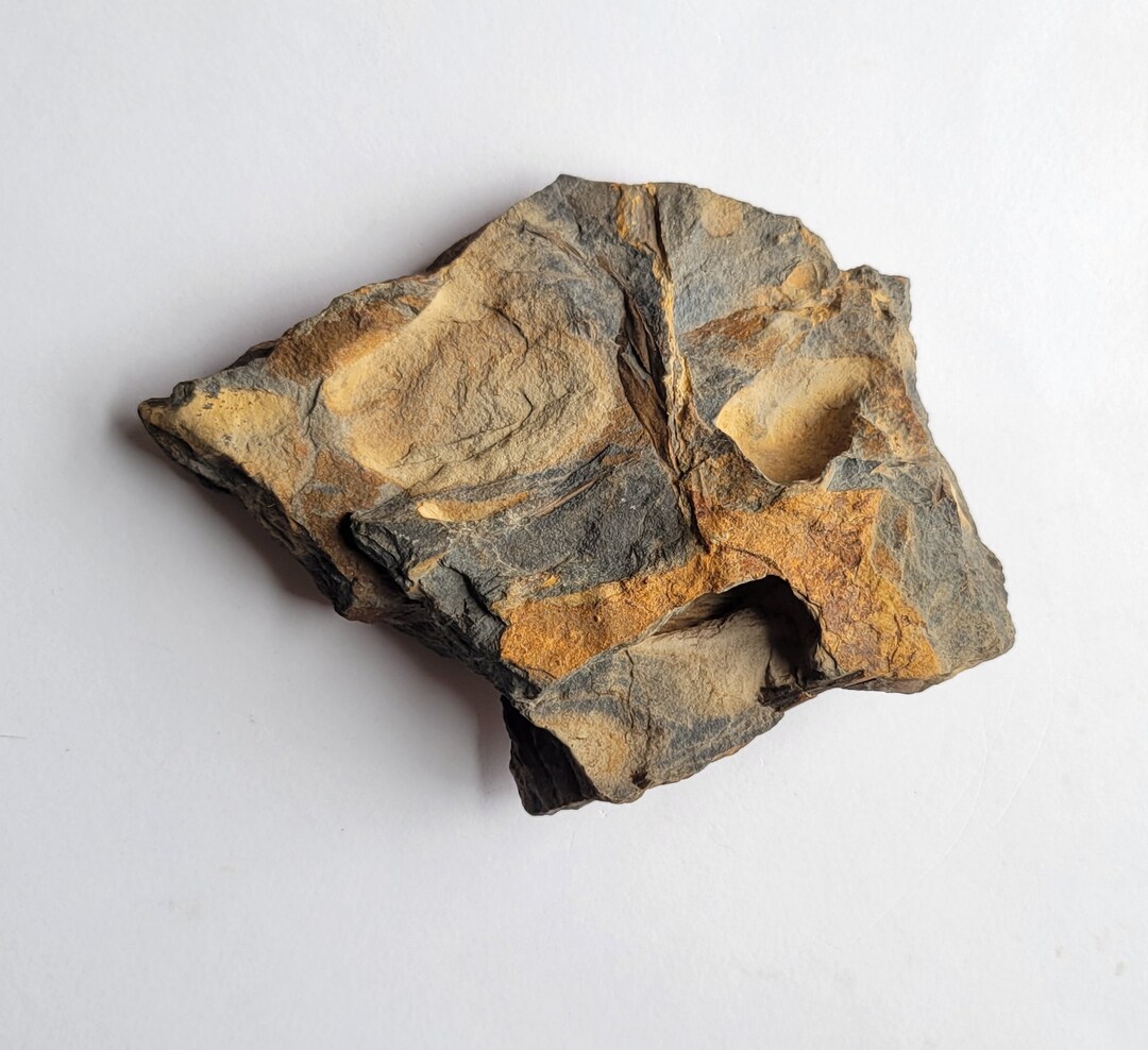 Wolf Bear Ape Birds Buffalo Ancient Native American Paleo Portable Rock ...