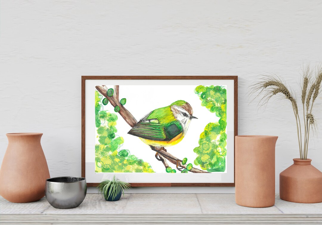 New Zealand Rifleman Titipounamu Art Digital Download - Etsy