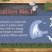 Animal-themed Educational Game Powerpoint Template | Fun Classroom ...