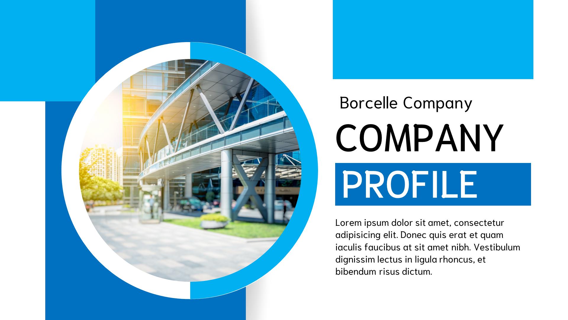 Business Profile Powerpoint Template Editable Corporate Presentation ...