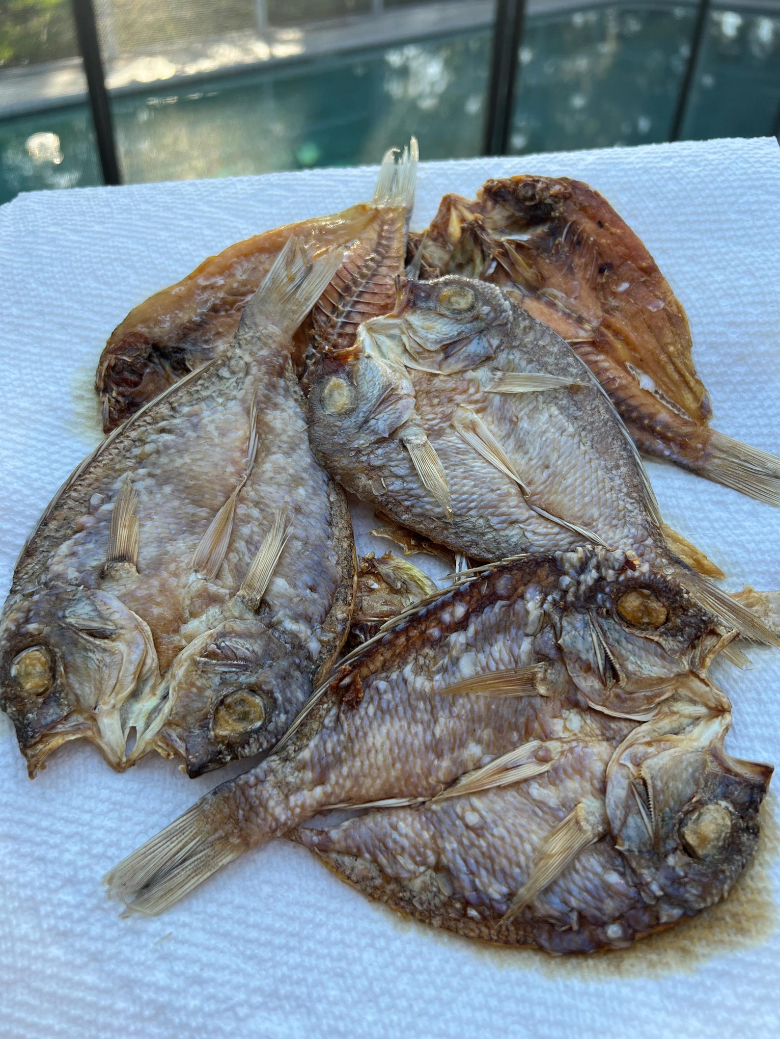 Dried Fish (bisugo) - Etsy
