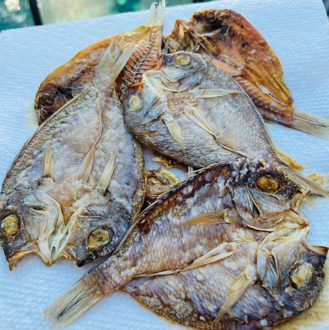 Dried Fish (bisugo) - Etsy