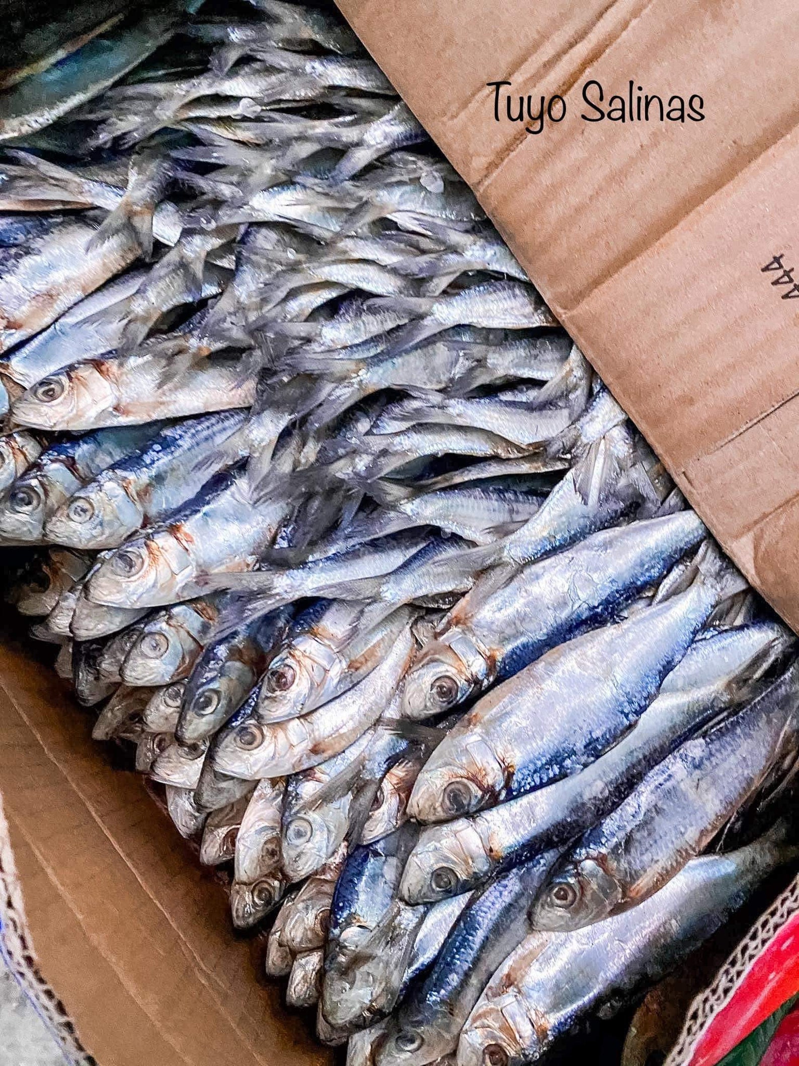 Dried Fish tuyo Salinas - Etsy