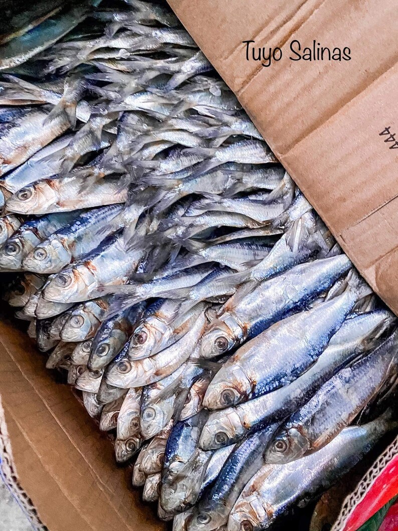 Dried Fish (tuyo Salinas) - Etsy