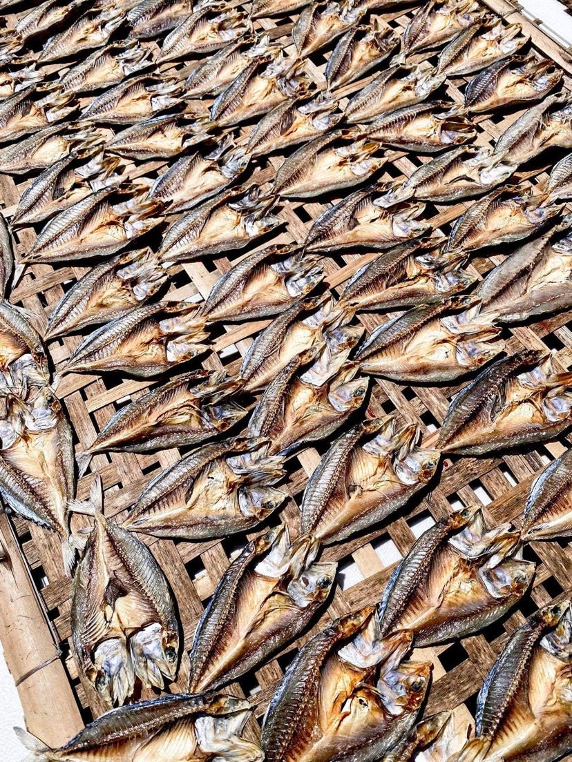 Dried Fish (alumahan Pinikas) - Etsy