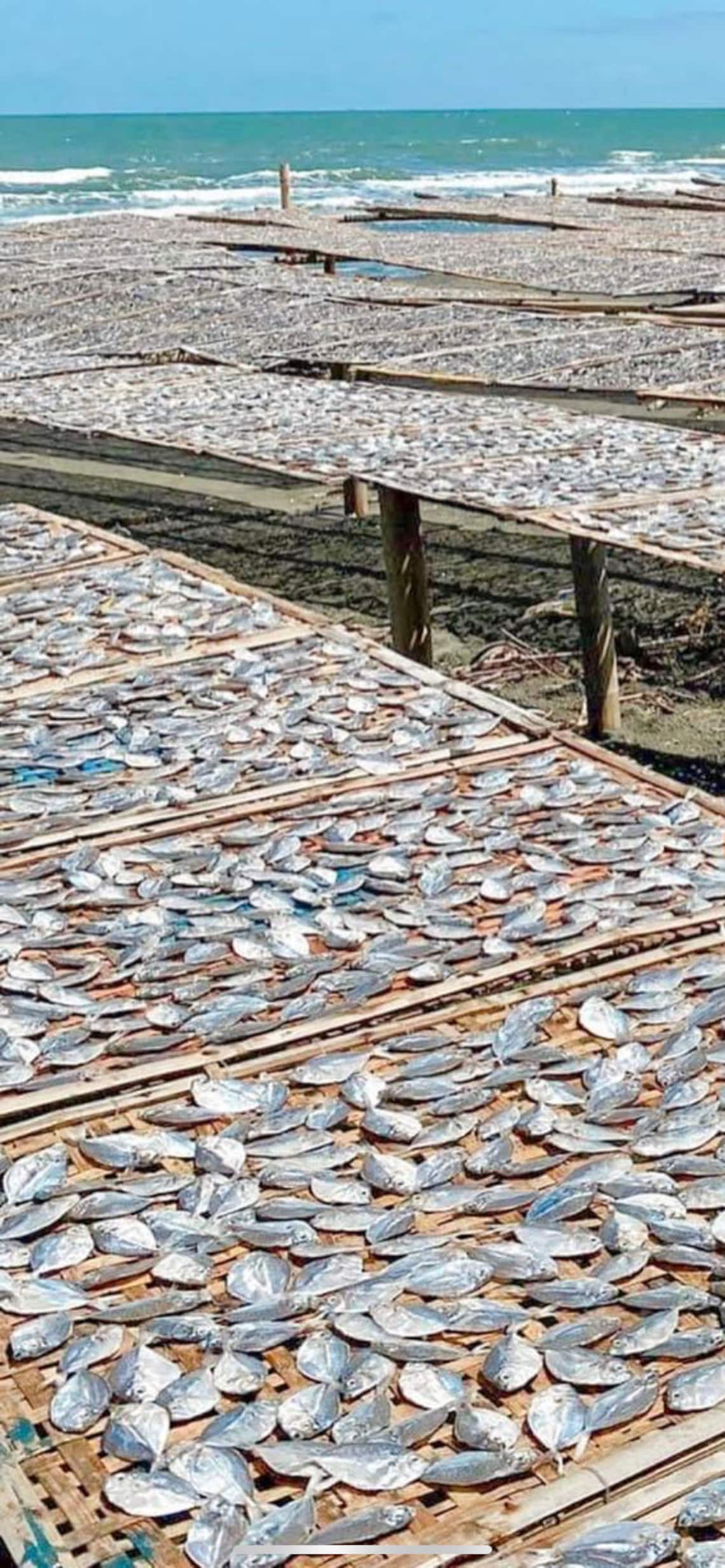 Sapsap Dried Fish - Etsy