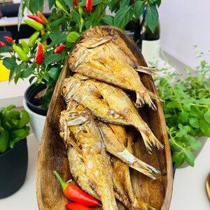 Salmonite Pinikas Dried Fish - Etsy