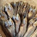 Dried Fish alumahan Pinikas - Etsy