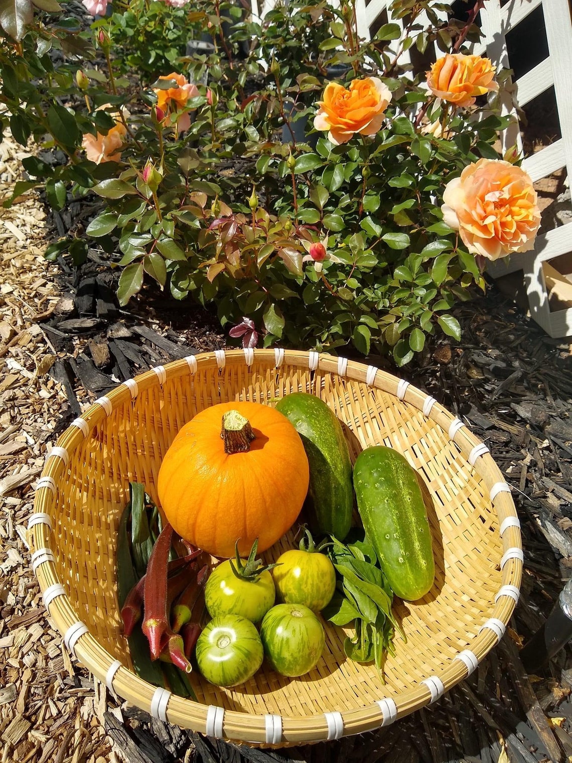 Winnowing Basket bilao - Etsy