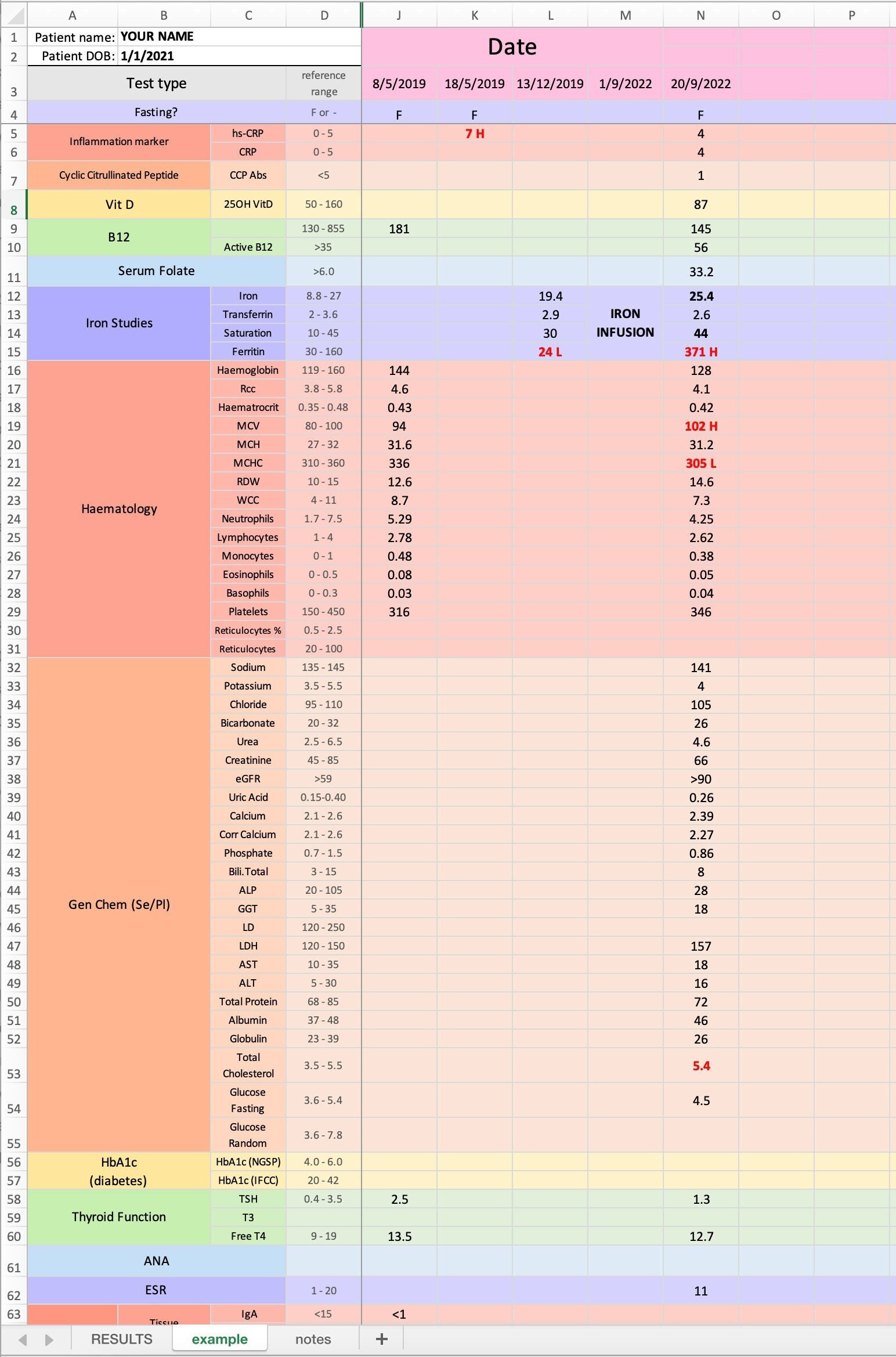 Blood Test Results Tracker Spreadsheet Starter - Etsy