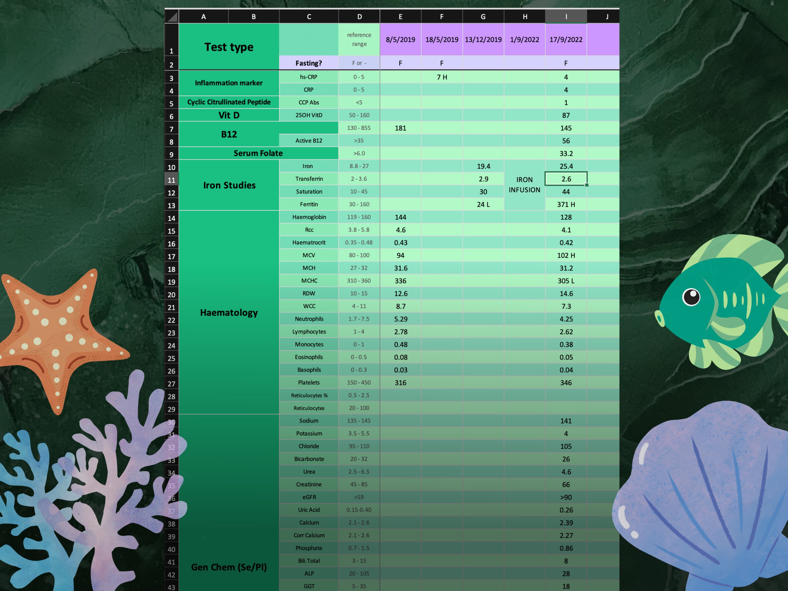 Blood Test Results Tracker Spreadsheet | Infinite Mermaid Colourway - Etsy