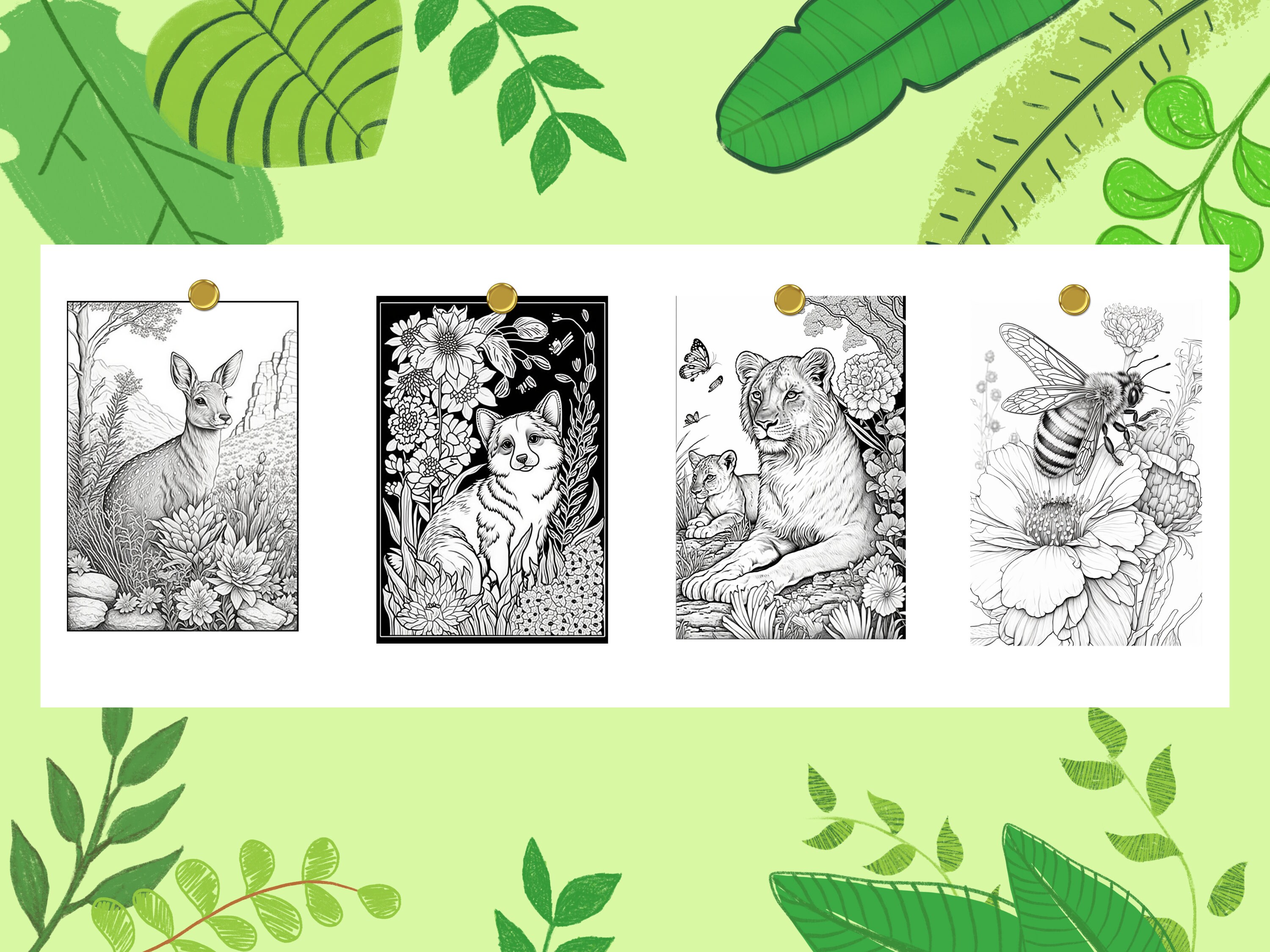 Nature Lover Printable Coloring Book, Wildlife Themed Colouring Pages ...