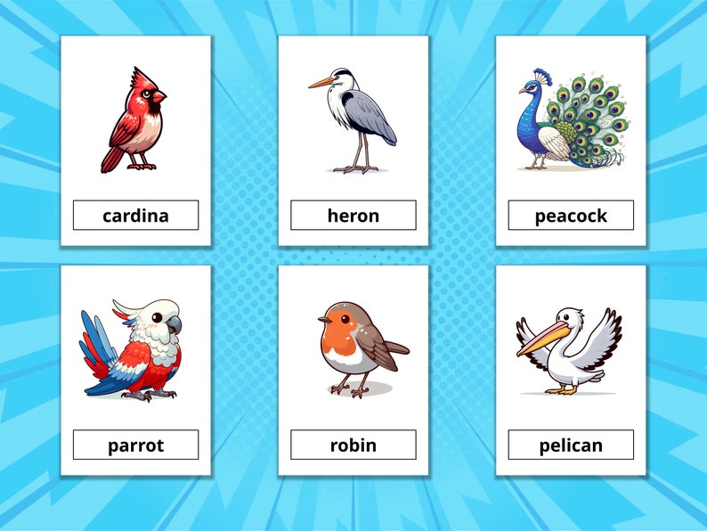 24 Bird Gallery Flash Cards Printable for Kids montessori Cards ...