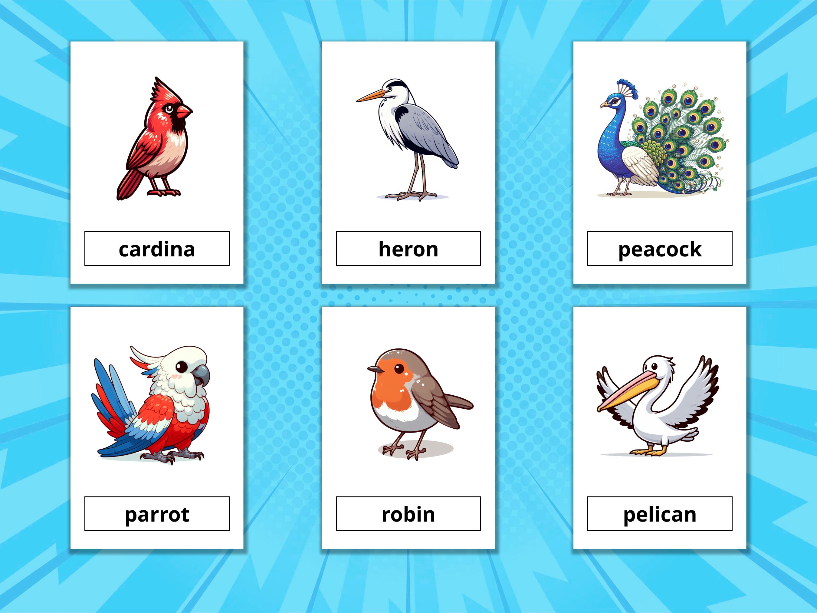 24 Bird Gallery Flash Cards Printable for Kids montessori Cards ...