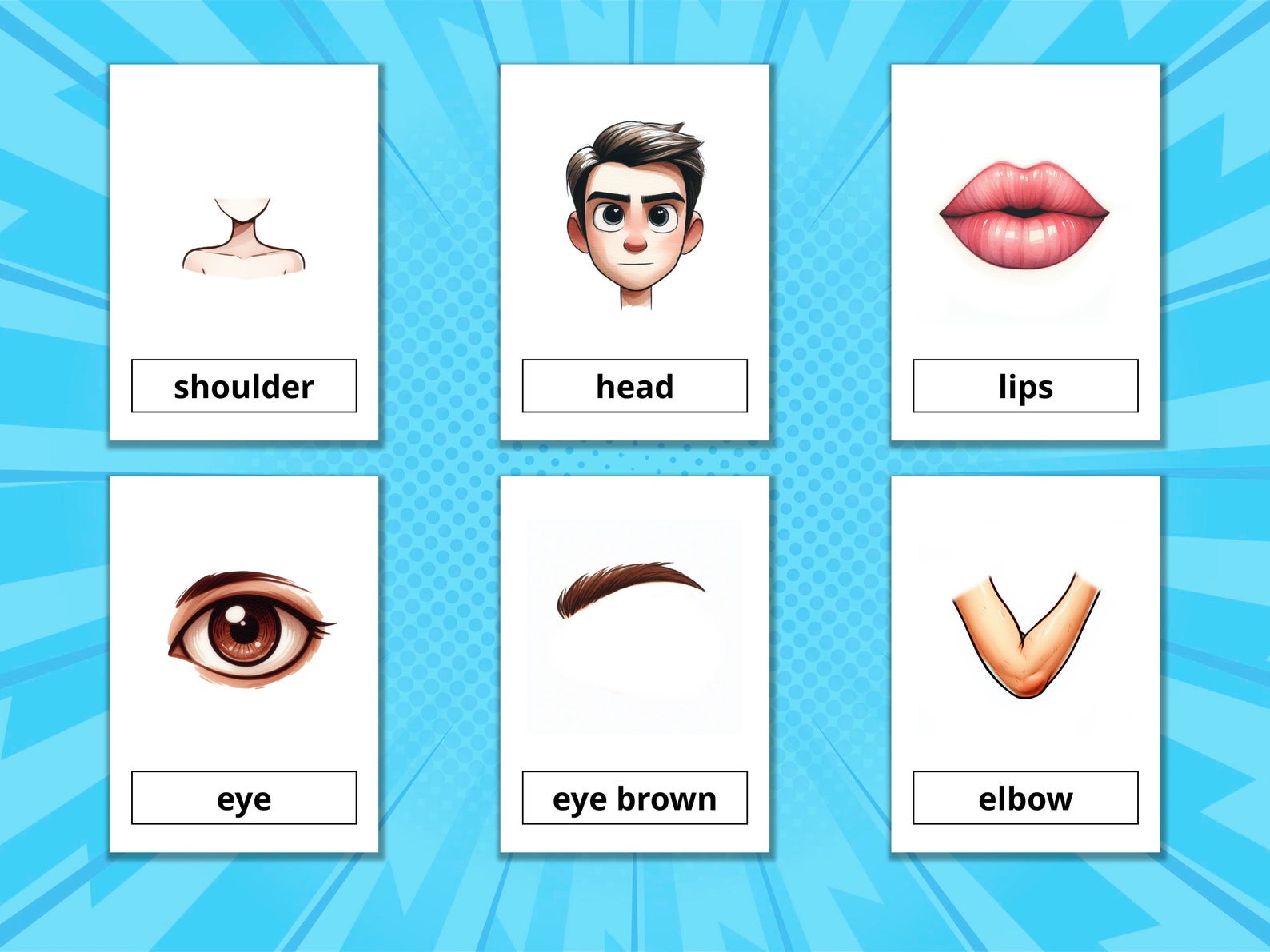 24 Body Parts Flash Cards Printable for Kids (montessori Cards ...