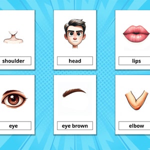 24 Body Parts Flash Cards Printable for Kids (montessori Cards ...